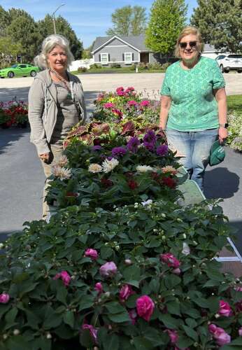 Plant sales springing up across the suburbs: Find annuals, perennials ...