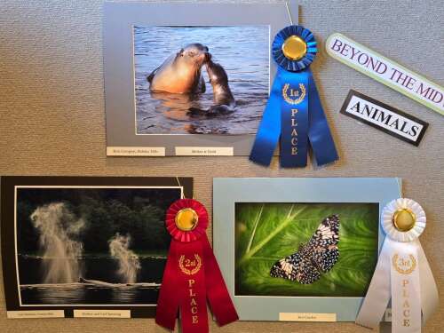Volo Bog State Natural Area 38th Annual Nature Photo Contest winners
