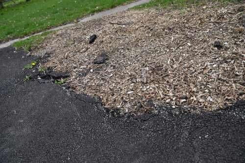 ‘Still too trusting’: Officials warn of surge in driveway paving scams
