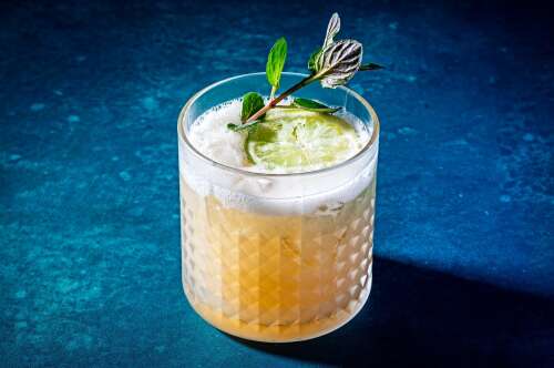 ‘Sour’ cocktails are more varied — and familiar — than you might think