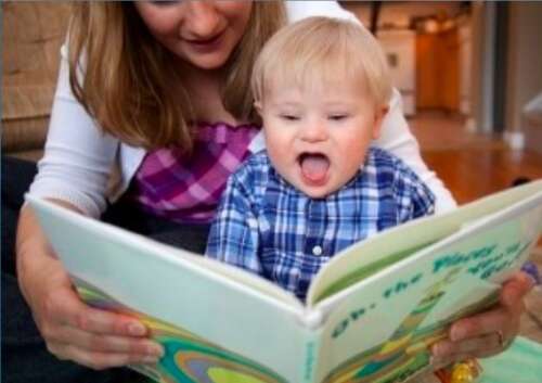 Seigle Foundation awards education grants to 12 local nonprofits ...
