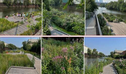 River Corridor Foundation weighs $500,000 floating garden project for ...