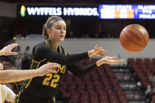 Cook County girls basketball outlook