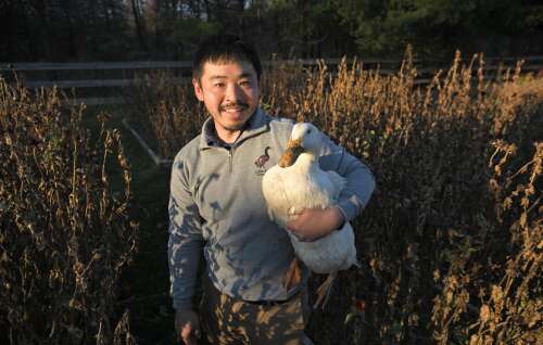 Barrington Hills couple faces uphill battle to keep flower farm open to ...