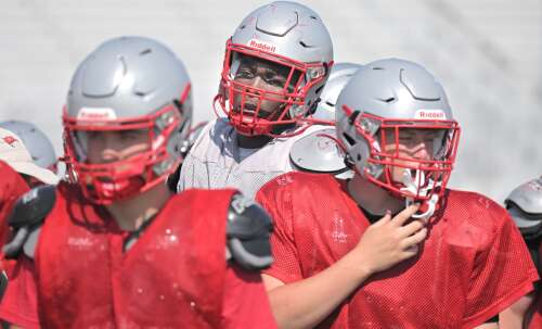Line of credit: How Palatine’s Tony Balanganayi developed into a top ...