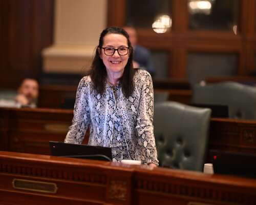 Rep. Amy Grant of Wheaton to step aside after current term