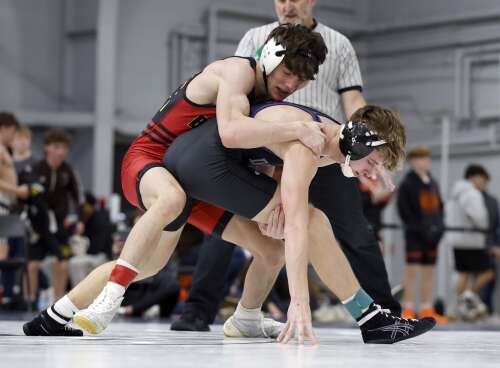 Wrestling roundup: Naperville Central 2nd, Libertyville 4th at 65th ...