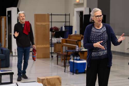 Steppenwolf Theatre’s ‘Catch As Catch Can’ marks ensemble member Gary ...