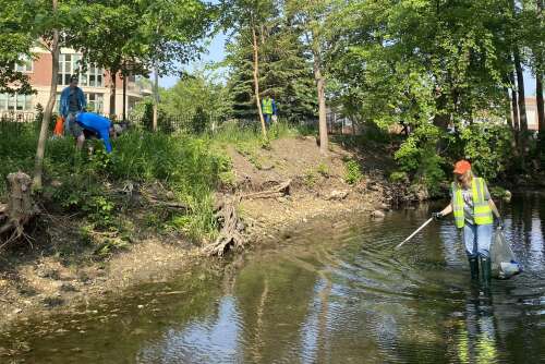 ‘Sweeping Our Rivers Clean’: DuPage River Sweep Promotes Environmental ...
