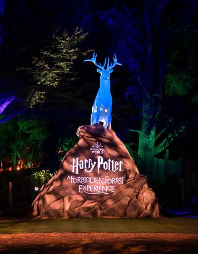 ‘A game changer for Camp Duncan’: Harry Potter experience to make ...