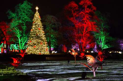 Best Bets: Dazzling light displays usher in the holiday season