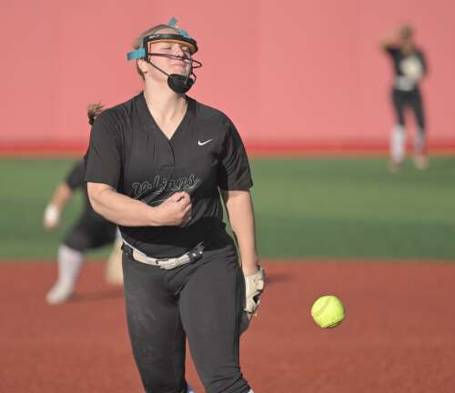 Cook County softball All-Area team