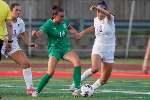 Girls soccer: Multi-sport standout Quinn leads York to another level