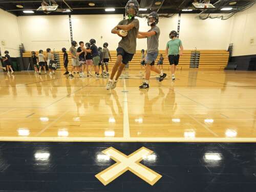 Restarting the roar: ‘Rejuvenated’ Lisle makes bold move to improve its ...