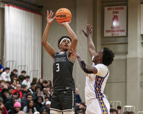 Boys basketball: Warren’s full arsenal too much for Bolingbrook