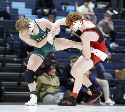 Wrestling roundup: Naperville Central 2nd, Libertyville 4th at 65th ...