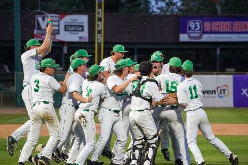 Baseball: York’s plan goes perfectly in supersectional win over McHenry