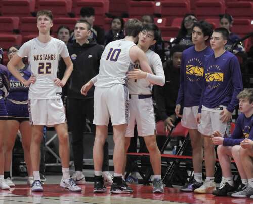 Boys basketball: Warren jumps past Rolling Meadows to earn state ...