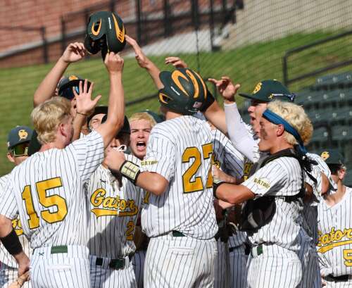 Baseball: Silvius tosses third straight shutout, pitches Crystal Lake ...