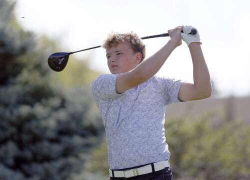 Boys golf: Fremd’s Tee drains long putt to win playoff, sectional ...