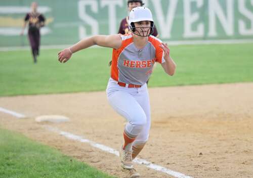 Meet the Cook County softball All-Area team