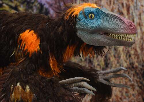 ‘Lots of oohs and aahs’: More than 20 animatronic dinosaurs take over ...
